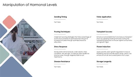 Phytohormones Plant Hormones Growth Regulation PPT Sample ST AI PPT Presentation