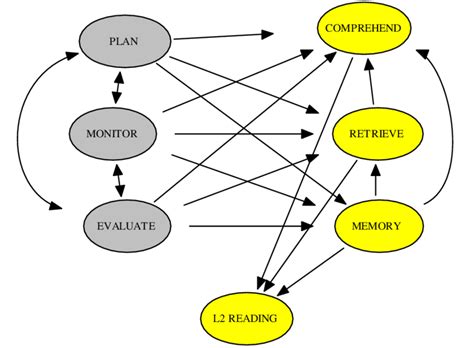 The Hypothesized Relationships Of Cognitive And Metacognitive Download Scientific Diagram