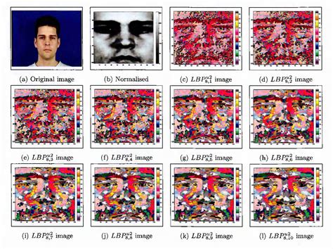 Pdf Multi Scale Local Binary Pattern Histogram For Face Recognition