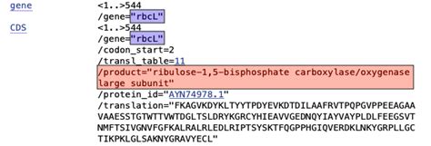 Genbank Upload Pipeline 2 Geneious Prime Genbank Submission Tool — Si Barcode Network