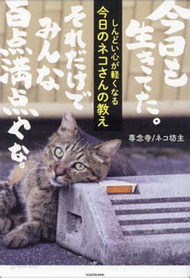 しんどい心が輕くなる今日のネコさんの敎え 예스24
