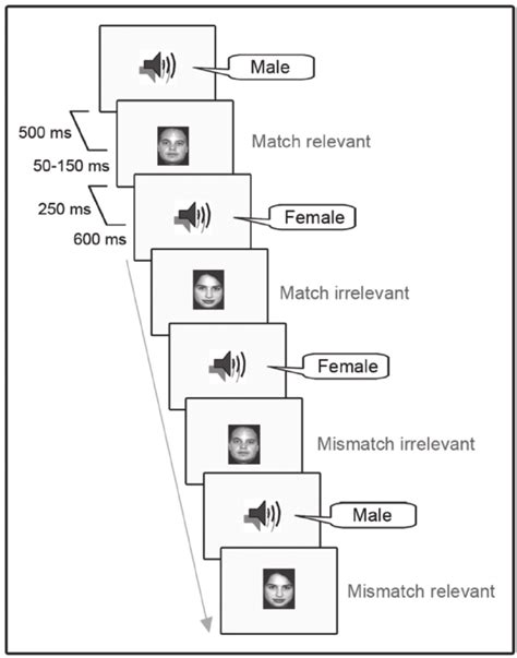 Trial Sequence And Experimental Conditions Auditory Stimulus Was Download Scientific Diagram