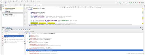Onnxruntuime实例分割网络说明 Csdn博客