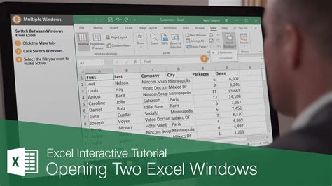 Opening Two Excel Windows CustomGuide