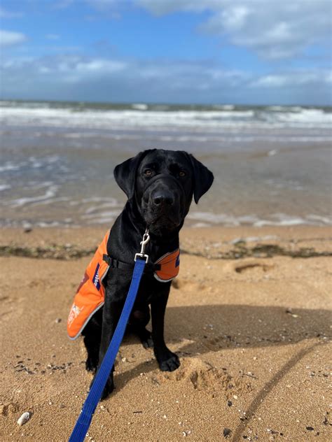 How Is Davey Going With His Training Moreton