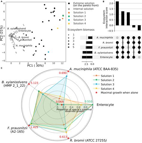Community Metabolic Modeling Of Host Microbiota Interactions Through Multi Objective
