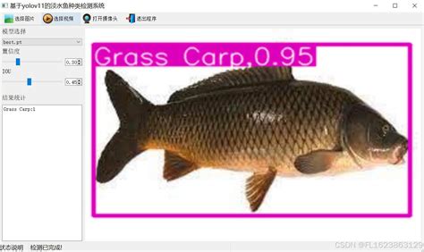 基于yolov11的淡水鱼种类检测系统python源码pytorch模型评估指标曲线精美gui界面 腾讯云开发者社区 腾讯云
