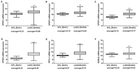Cpsf Complex Component Mrna Expression In The Cancer Genome Atlas Lusc