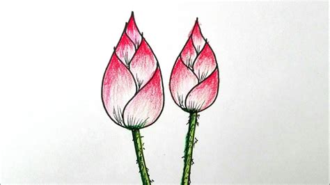 วาดรูป ดอกบัว ดอกไม้บูชาพระ วาดง่ายๆ ระบายสีสวยงาม How To Draw A Lotus Youtube