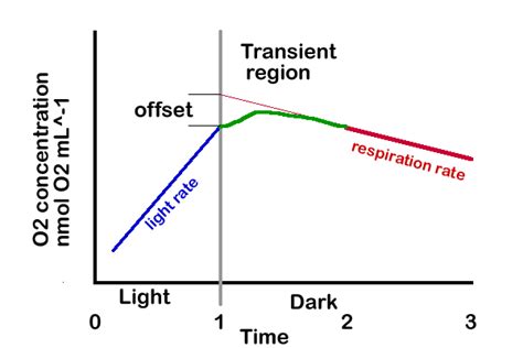 Untitled Document Web Pdx Edu