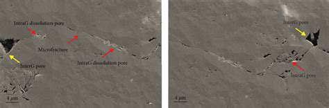 Fe Sem Photomicrographs Se Mode For Sample Shy 1 002 3 Intergranular