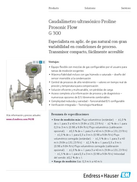 Catalogo Endress Hauser Proline Prosonic Flow G 300 Pdf Gas Natural