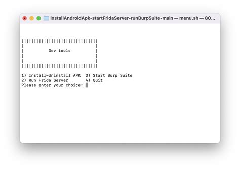 Github Mathias82installandroidapk Startfridaserver Runburpsuite