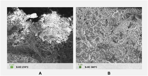Figure 2 From Hydrothermal Carbonization As Sustainable Process For The Complete Upgrading Of