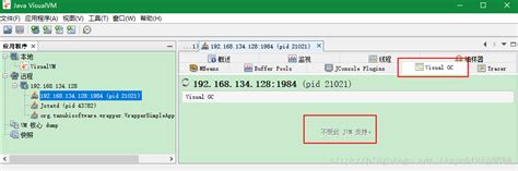 Jvisualvm Jstatd Jvm Visual Gc Jvm