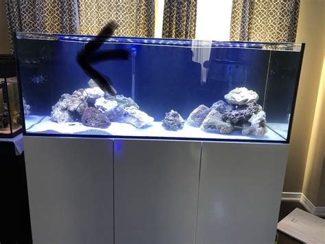 Wavemaker Location Help Reef2reef