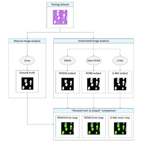 Flowchart Of The Comparison Process To Obtain A Meaningful Result Download Scientific