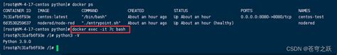 Docker运行centos镜像 安装python39环境docker Python39 Csdn博客