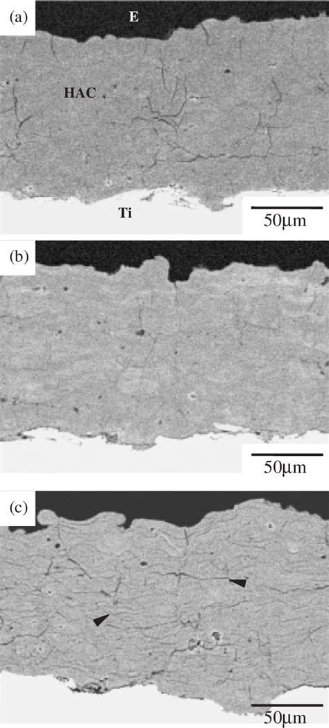 Sem Cross Sectional Microstructure Of A The As Sprayed Hacs B