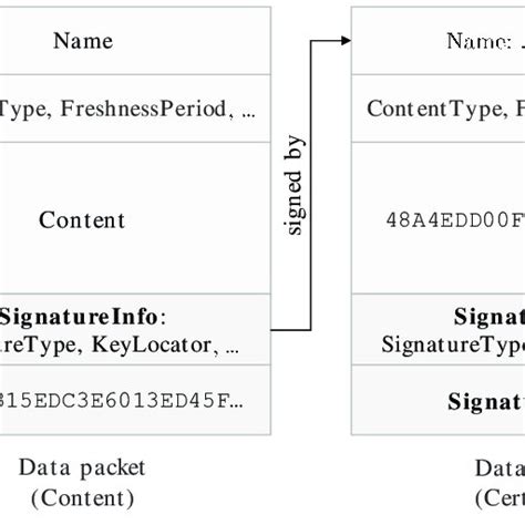 Example Of A Data Packet And Its Signing Certificate Download Scientific Diagram