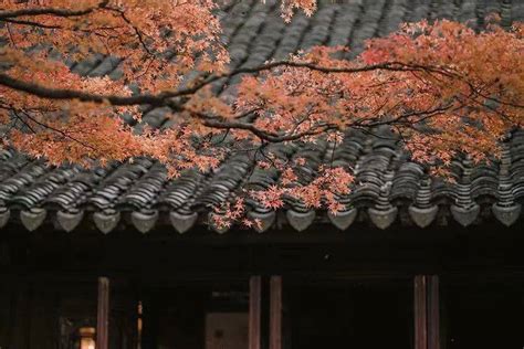 罗润英种一抹心情在秋天里 叶梦 爱好文学 散文