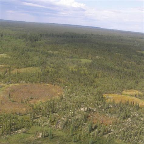 1 The Circumpolar Range Of The Boreal Forest Download Scientific