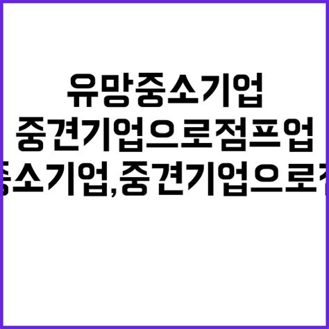 유망 중소기업 중견기업으로 점프업 지원한다 대전진 유망 중소기업 중견기업으로 점프업 지원한다 대전진