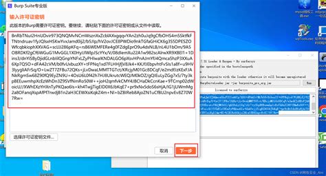 【网络安全 Burp Suite抓包工具】学网安必不可少的burp Suite工具的安装及配置burpsuitebp抓包工具 Csdn博客