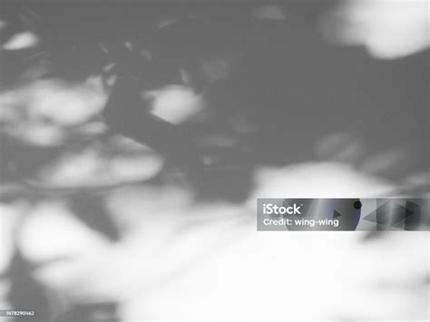 추상 그림자 나뭇잎 벽 바닥 시멘트 배경 질감 오버레이 태양 빛 실루엣 자연 잎 창문에서 인테리어 방 건물 집 콘크리트 흐림 배경 구조 대리석 회색 빈티지 그림자에 대한
