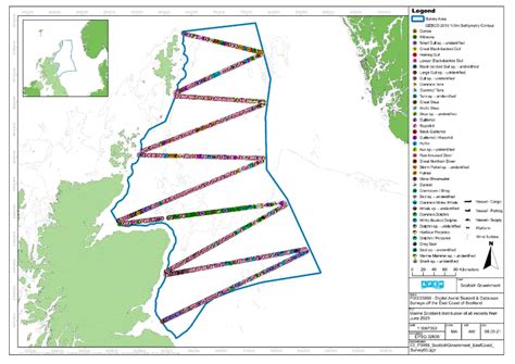 3 Distribution Digital Aerial Seabird And Cetacean Surveys Off The