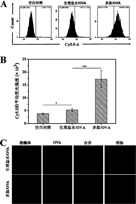 Redox Sensitive Polypeptide Based On Cell Penetrating Peptide And Application Of Redox Sensitive