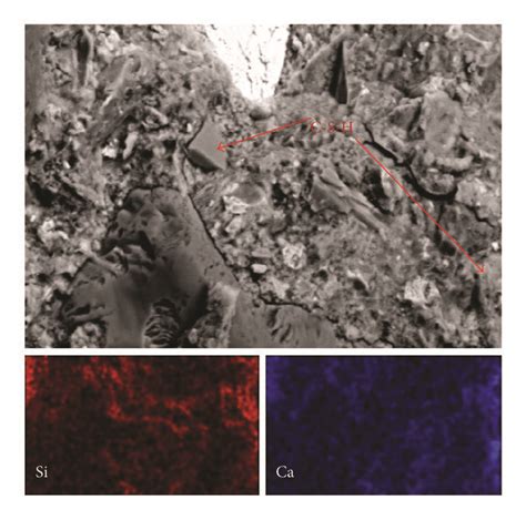 Sem Image And Its Edax Mapping On Si Mg And Ca Of Control Specimen Cs Download Scientific