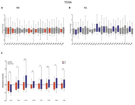 Figure 4 Integrin Expression In Localized Prostate Cancer A Tcga