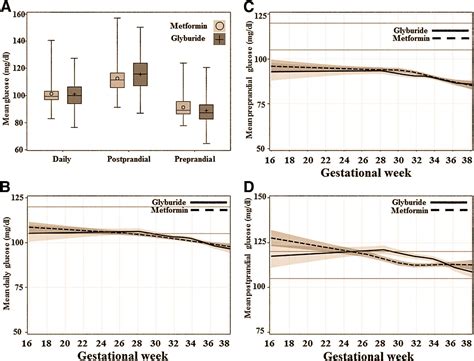 Glyburide Vs Metformin During Pregnancy Gt Health