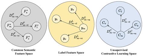 Electronics Free Full Text Self Hcl Self Supervised Multitask