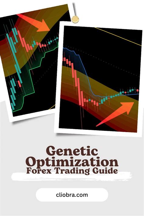 How To Implement ‘genetic Optimization In Algorithmic Forex Trading