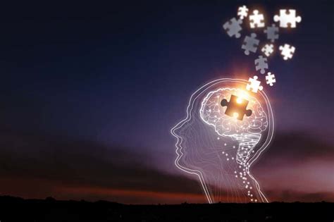 Issue 3506 Magazine Cover Date 31 August 2024 New Scientist