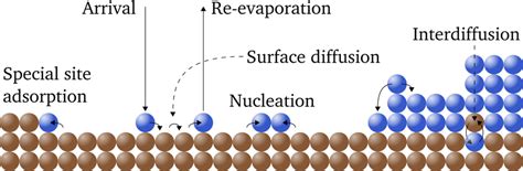 2 Schematic Diagram Of Surface Processes During Nucleation And Growth Download Scientific