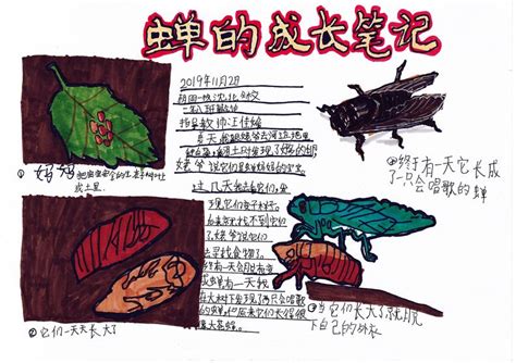 沈阳北市场手绘 阳北市场简笔画 阳北市场图片 第9页 大山谷图库