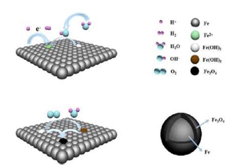 The Formation Process Of The Core Shell Structured Fe Fe O Download Scientific Diagram