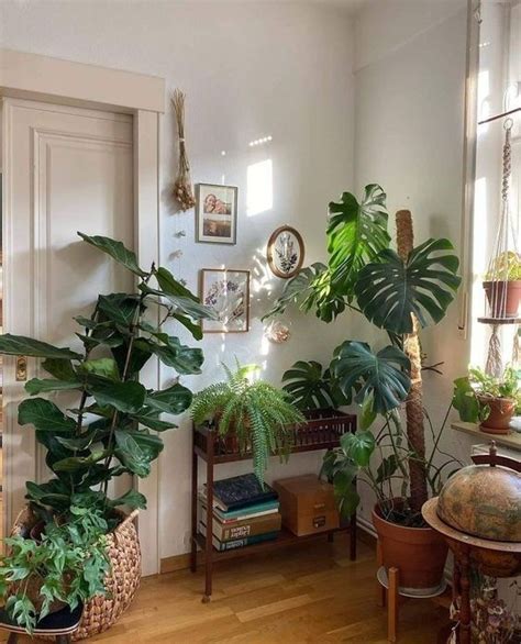 봇프 플랜테리어 뜻 거실 침실 욕실 플렌테리어 추천 식물 네이버 블로그