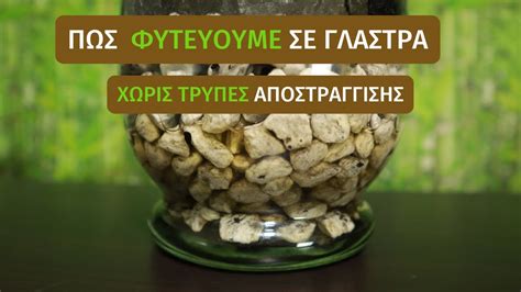 Πως φυτεύουμε σε γλάστρα χωρίς τρύπες αποστράγγισης Youtube