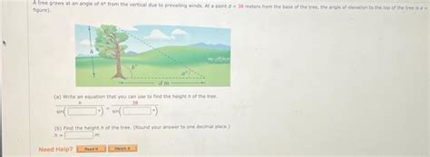 Solved A Tree Grows At An Angle Of 4 From The Vertical Due Chegg Com