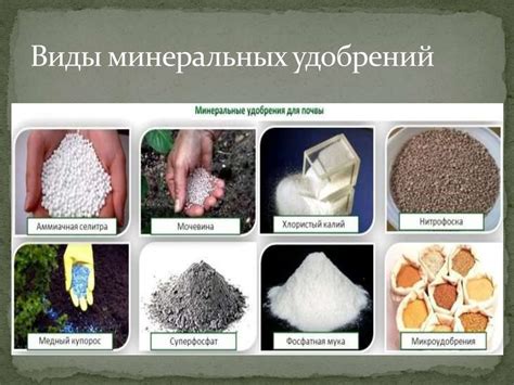 Внесение минеральных удобрений Online Presentation