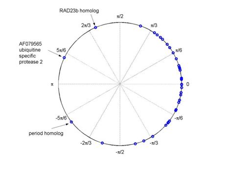 Residual Plot Of Circular Circular Regression For The 38 Synchronized