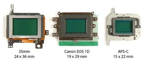 Size Of Image Sensor How Does Sensor Size Affect Image Quality Nevsemi Electronics