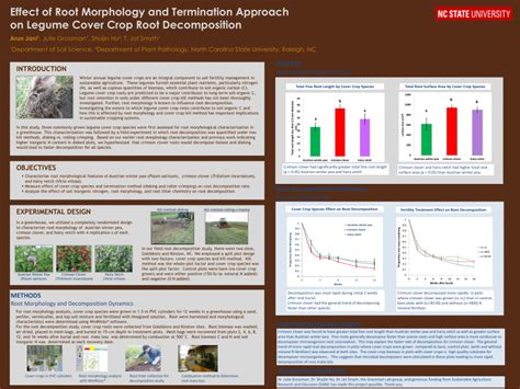 Pdf Effect Of Root Morphology And Termination Approach On Legume