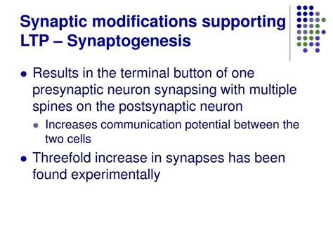 PPT Learning And Memory PowerPoint Presentation Free Download ID 6670643