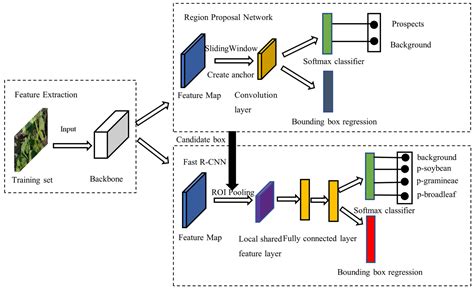 Weed Identification In Soybean Seedling Stage Based On Optimized Faster R Cnn Algorithm