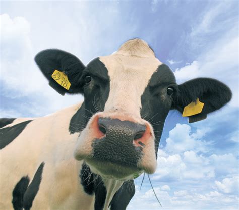 Collaborate With Aminomax On Feed Technology Via Expandatherm